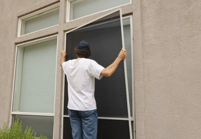 The Ultimate Guide to Solar Window Screens